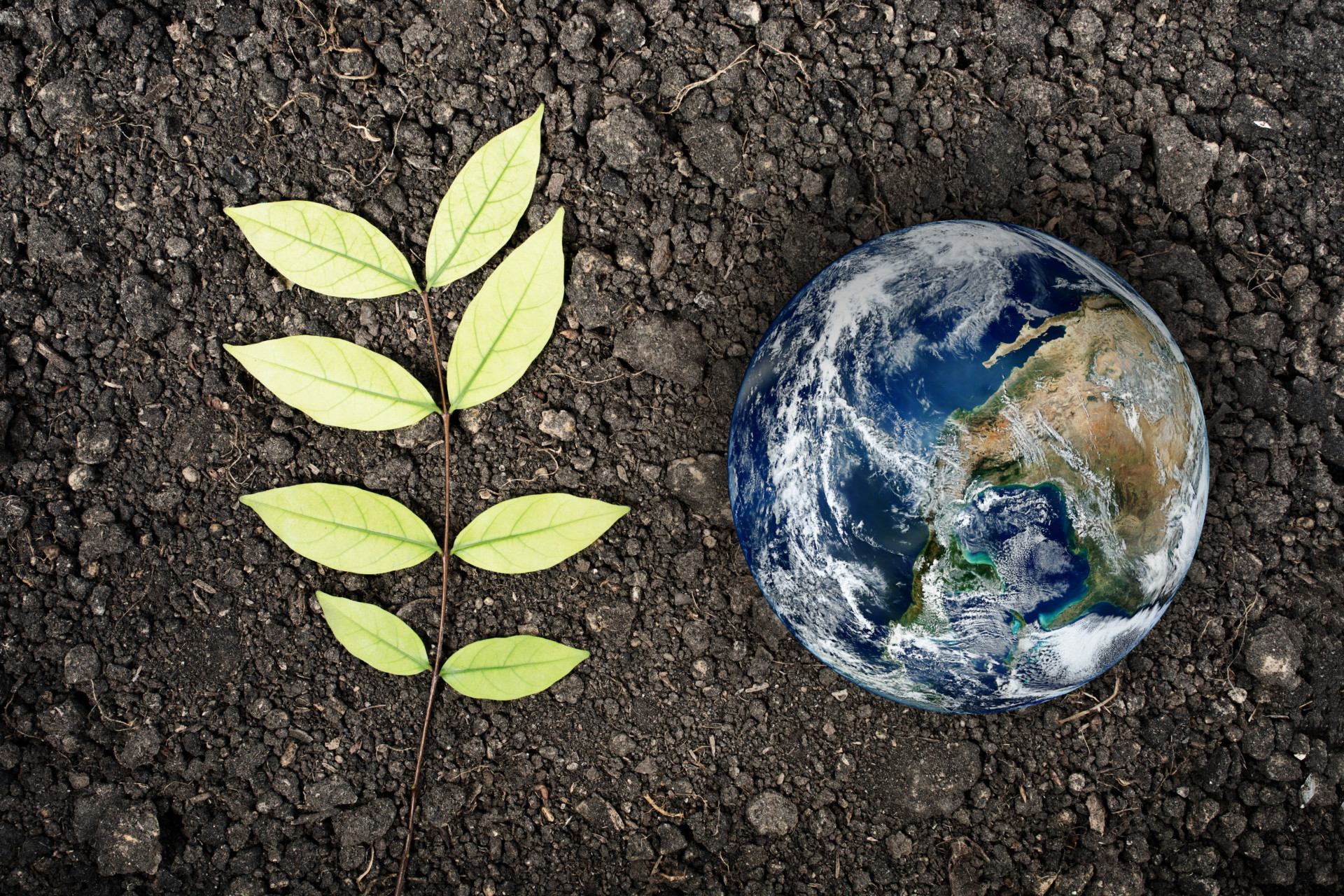 Climate change rules clarified this year - Asia Pacific Infrastructure