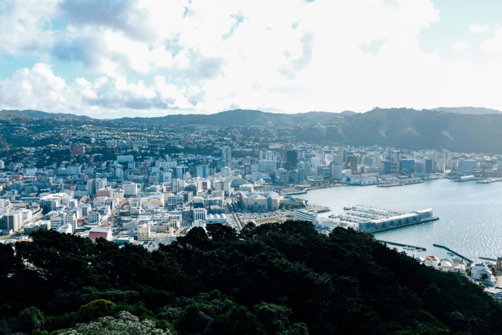 Contractors not to blame for Wellington Water dysfunction - Asia ...